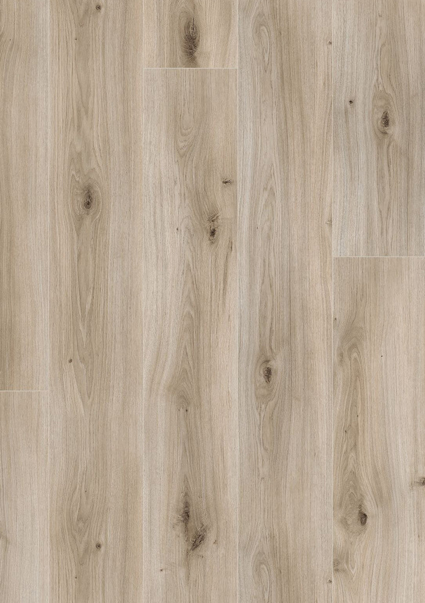 Oasis | Laminate | Flooring Xtra NZ